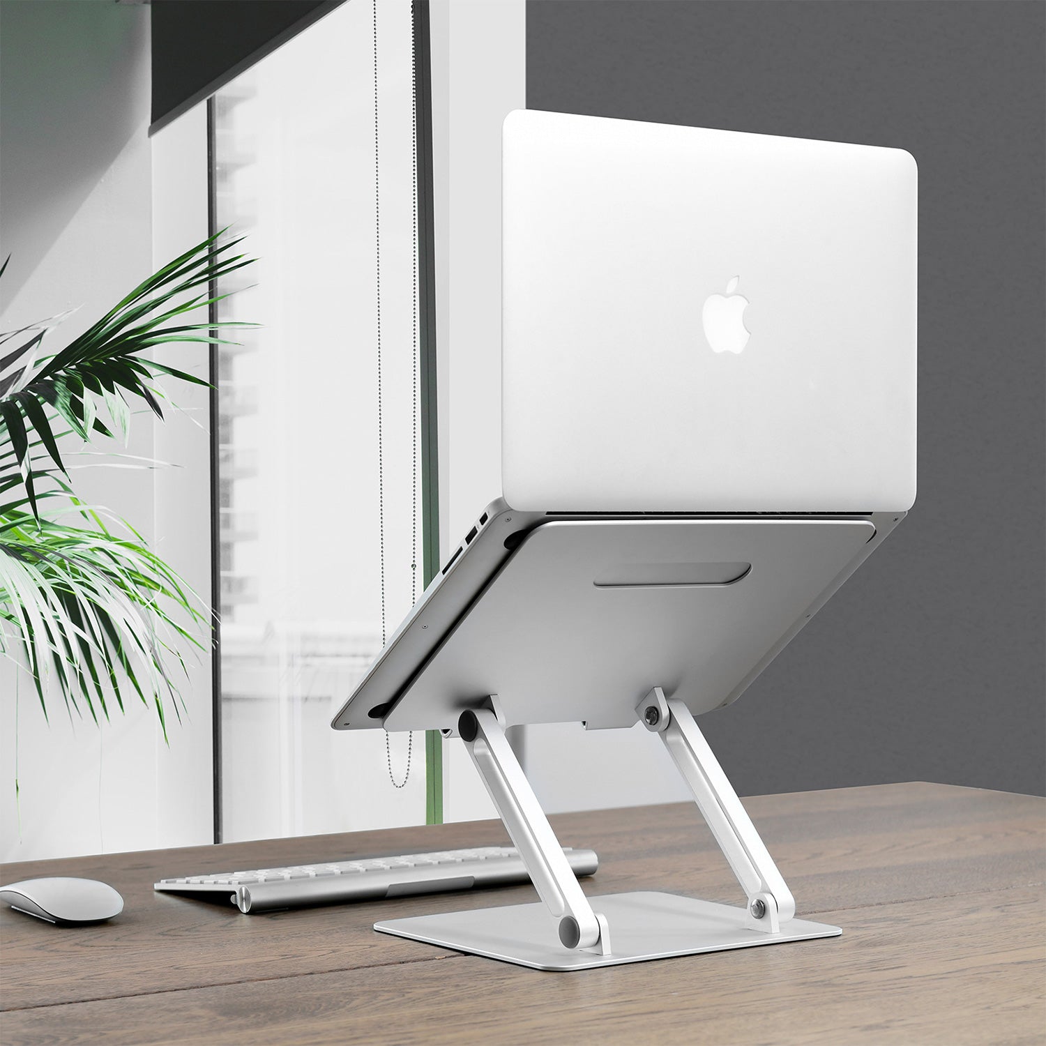 Laptop Stand - ap-2D – FinerCrafts